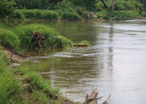 Bug – najdziksza polska rzeka